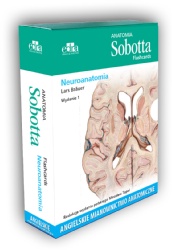 Edra Urban & Partner